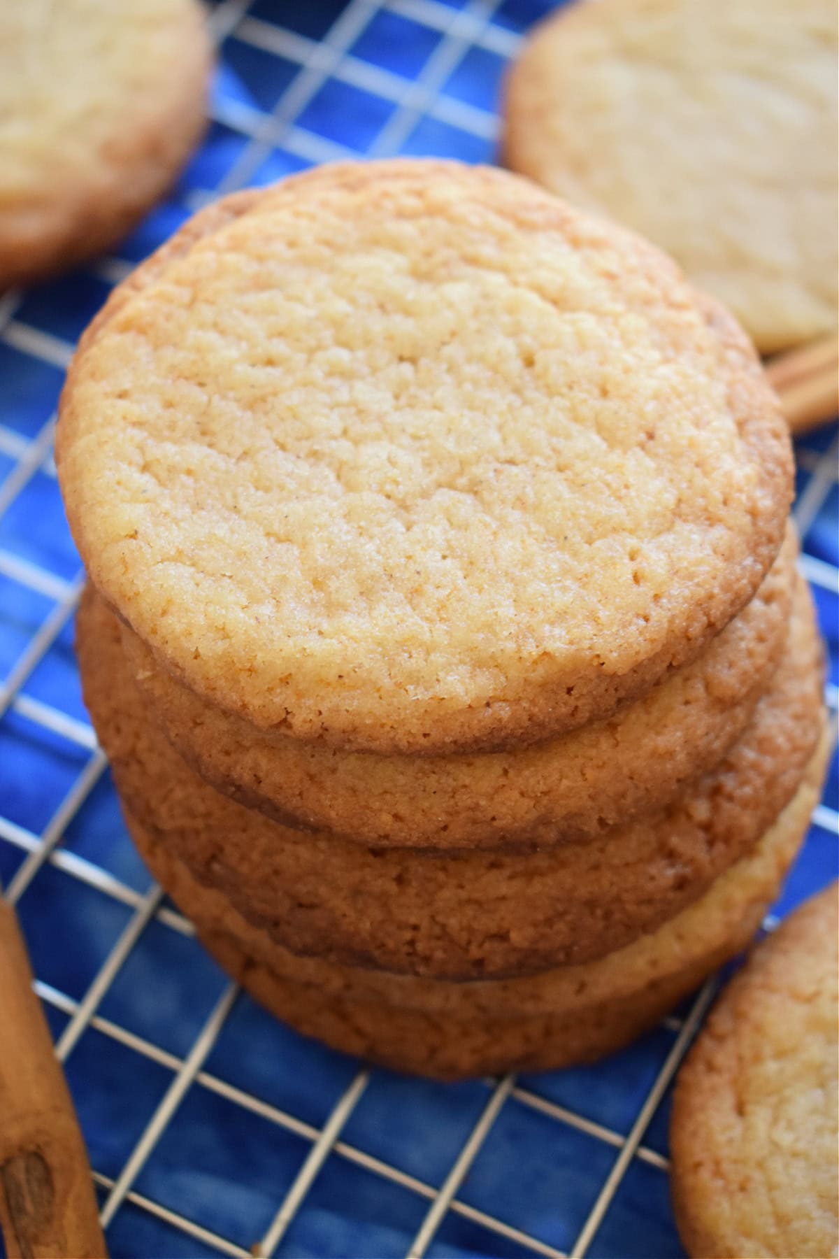 Cinnamon Spice Cookies - Julia's Cuisine